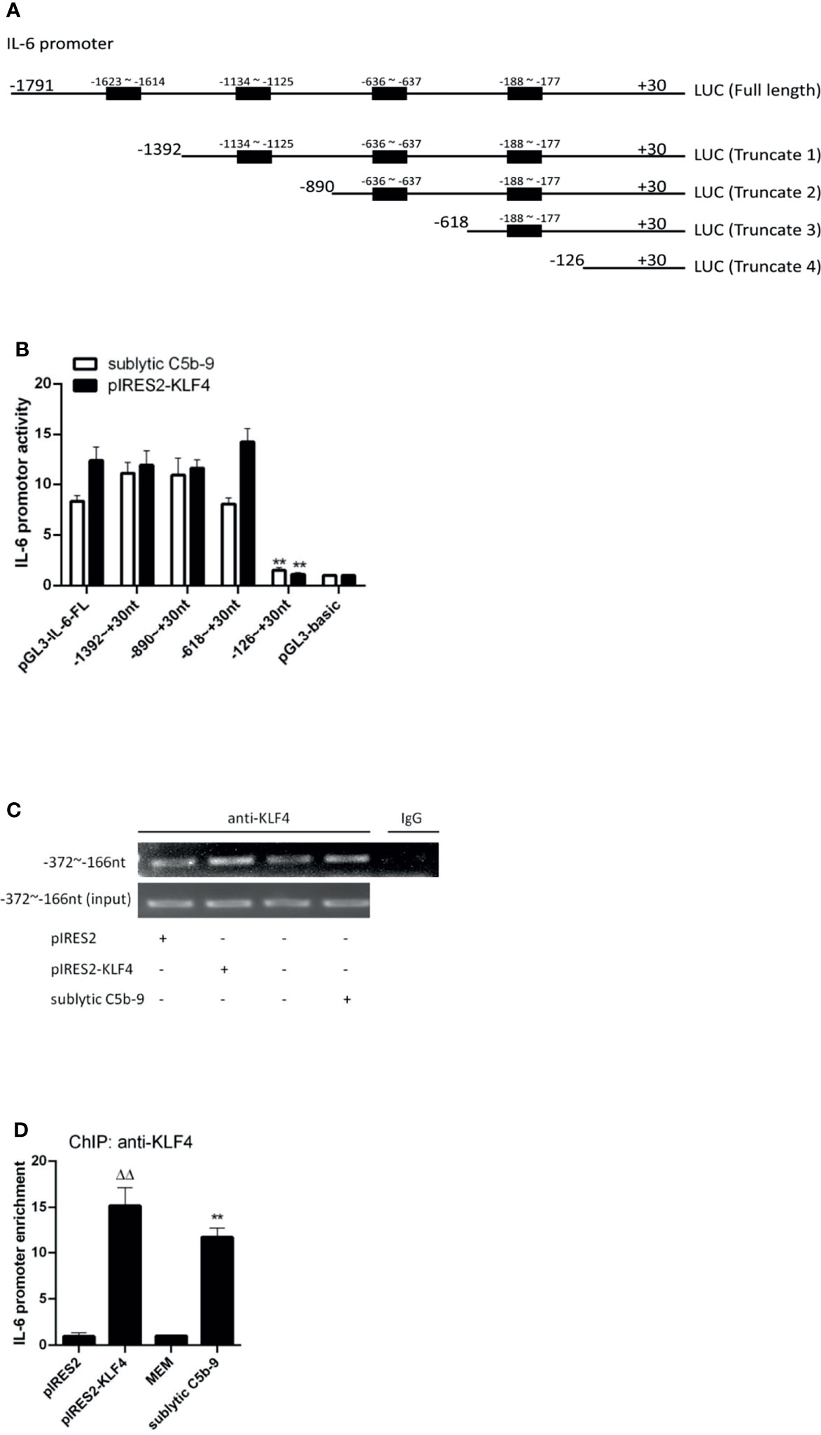 Frontiers Modulation Of Il 6 Expression By Klf4 Mediated