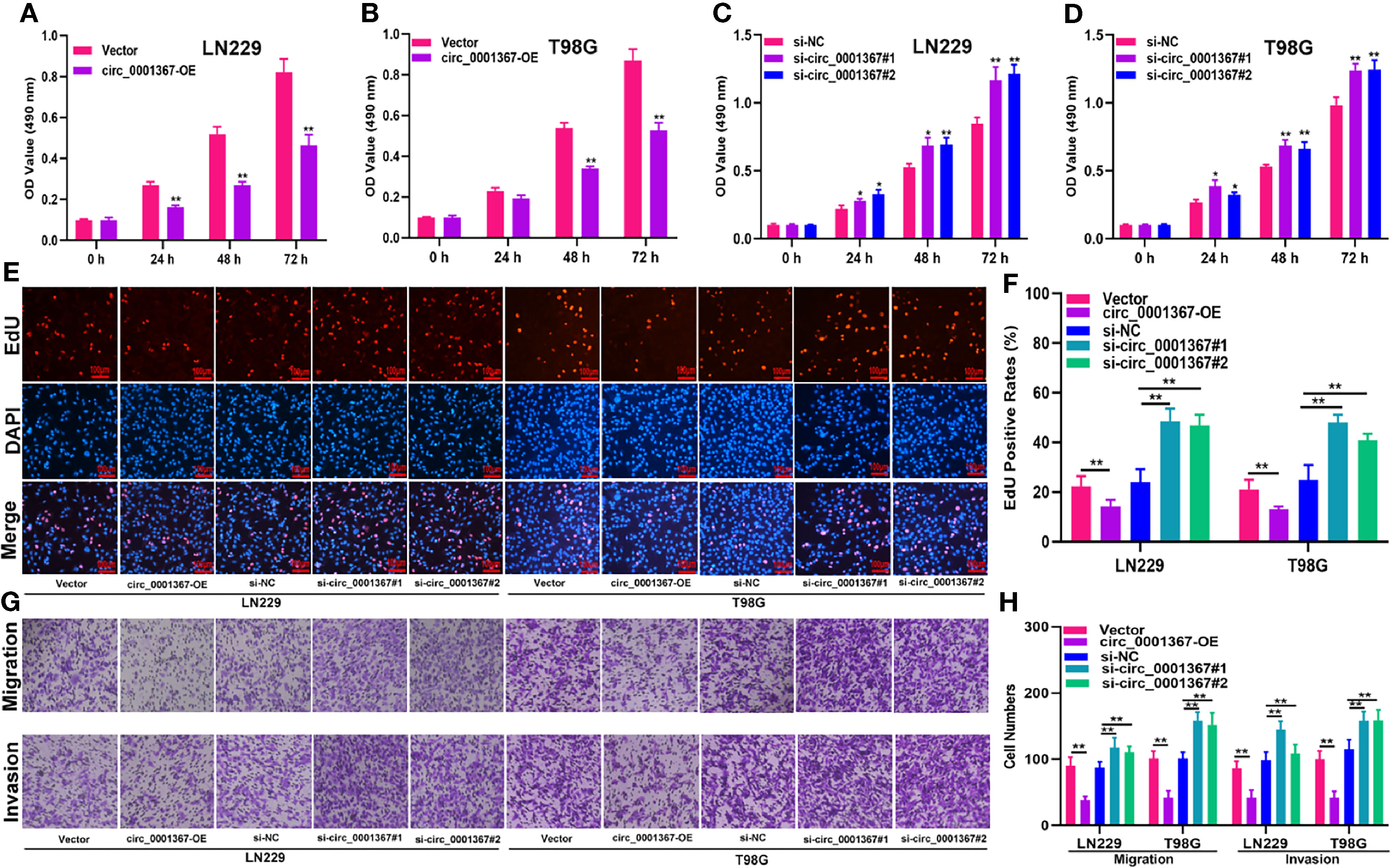 Frontiers The Circ 0001367 Mir 545 3p Luzp1 Axis Regulates Cell