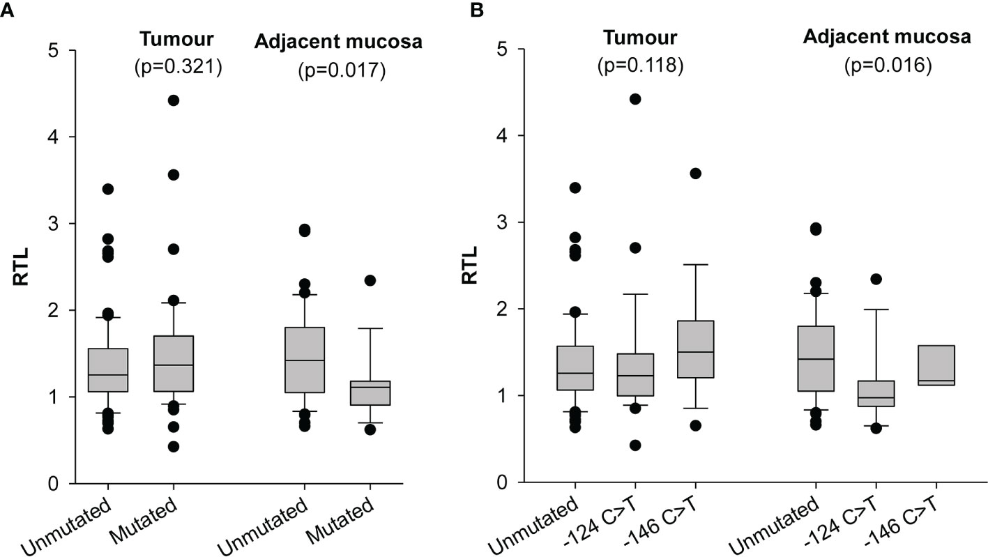 Frontiers Tert Promoter Mutations And Rs2853669 Polymorphism Useful