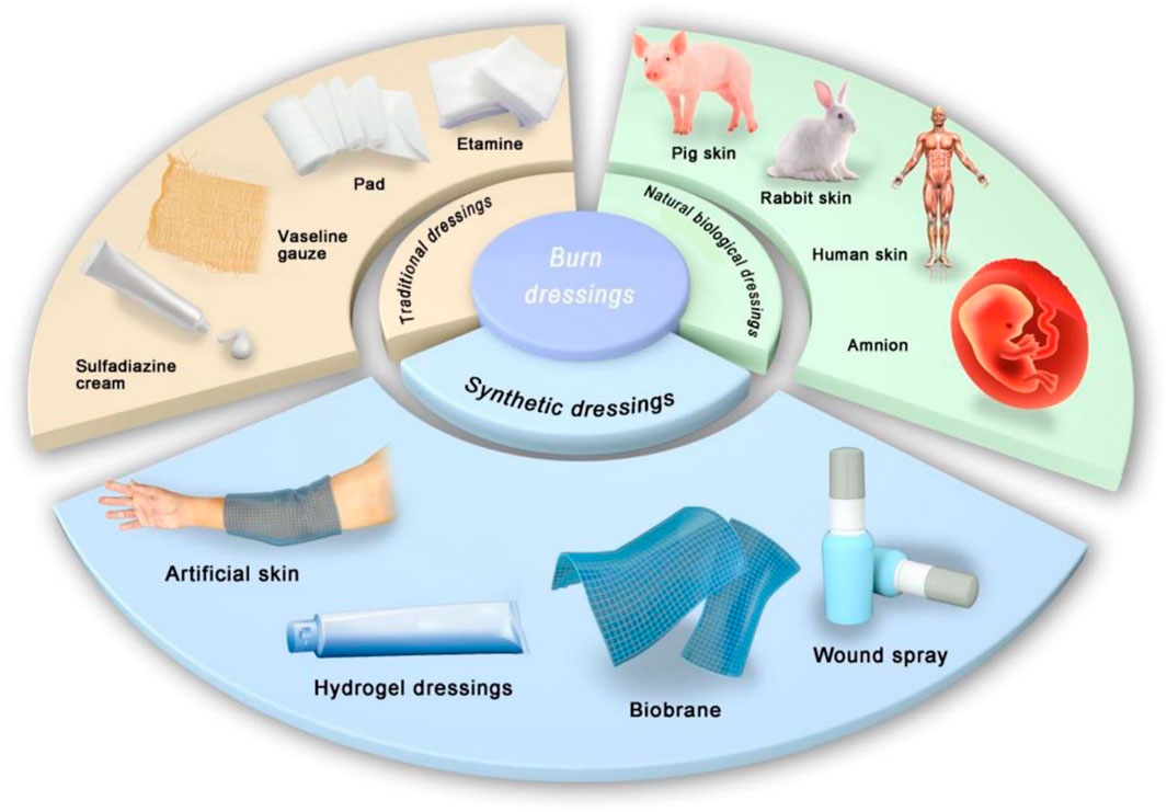Burn Wound Dressing Materials In USA Www deborahsilvermusic