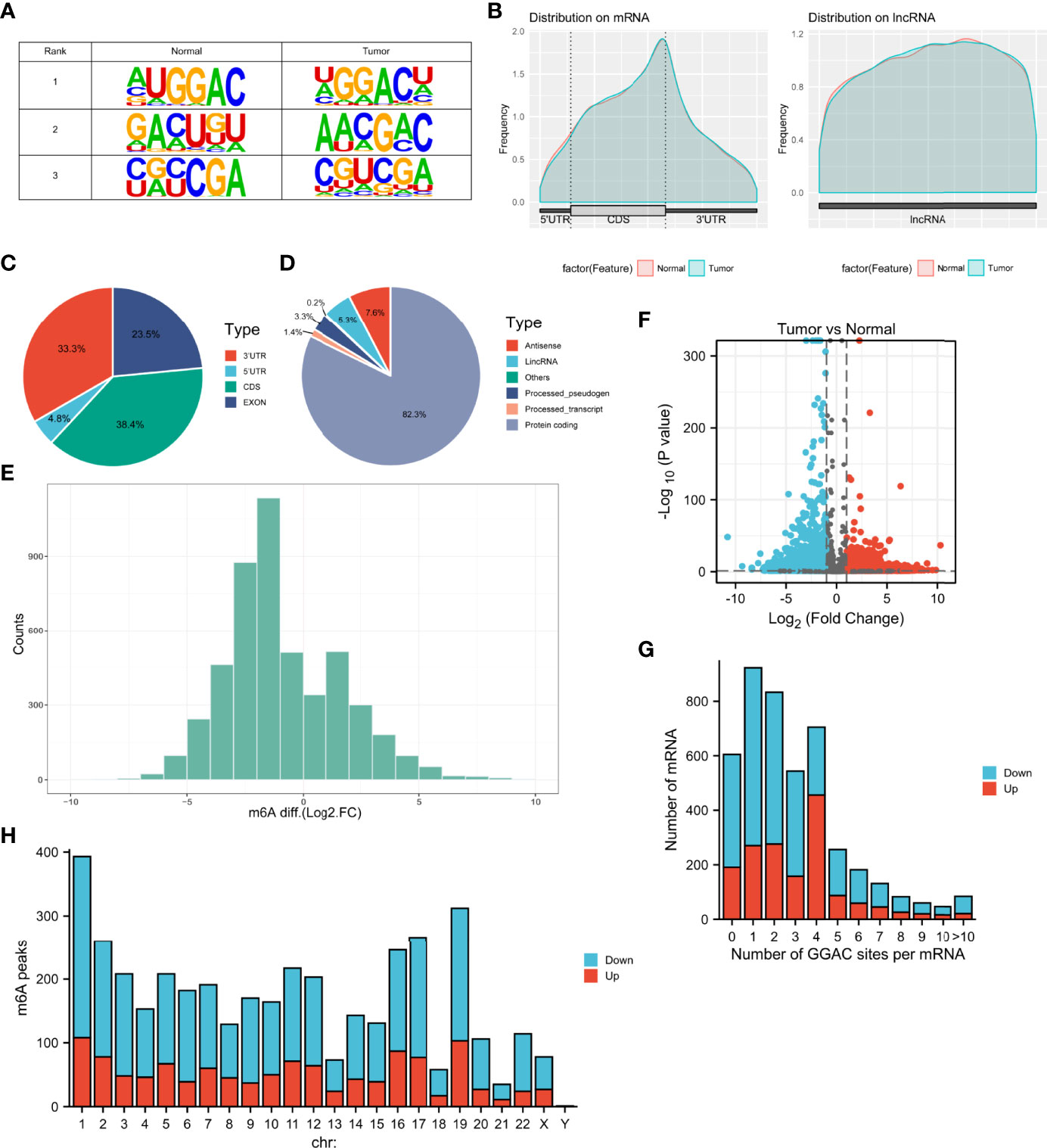 Frontiers Comprehensive Analysis Of The Transcriptome Wide M6a