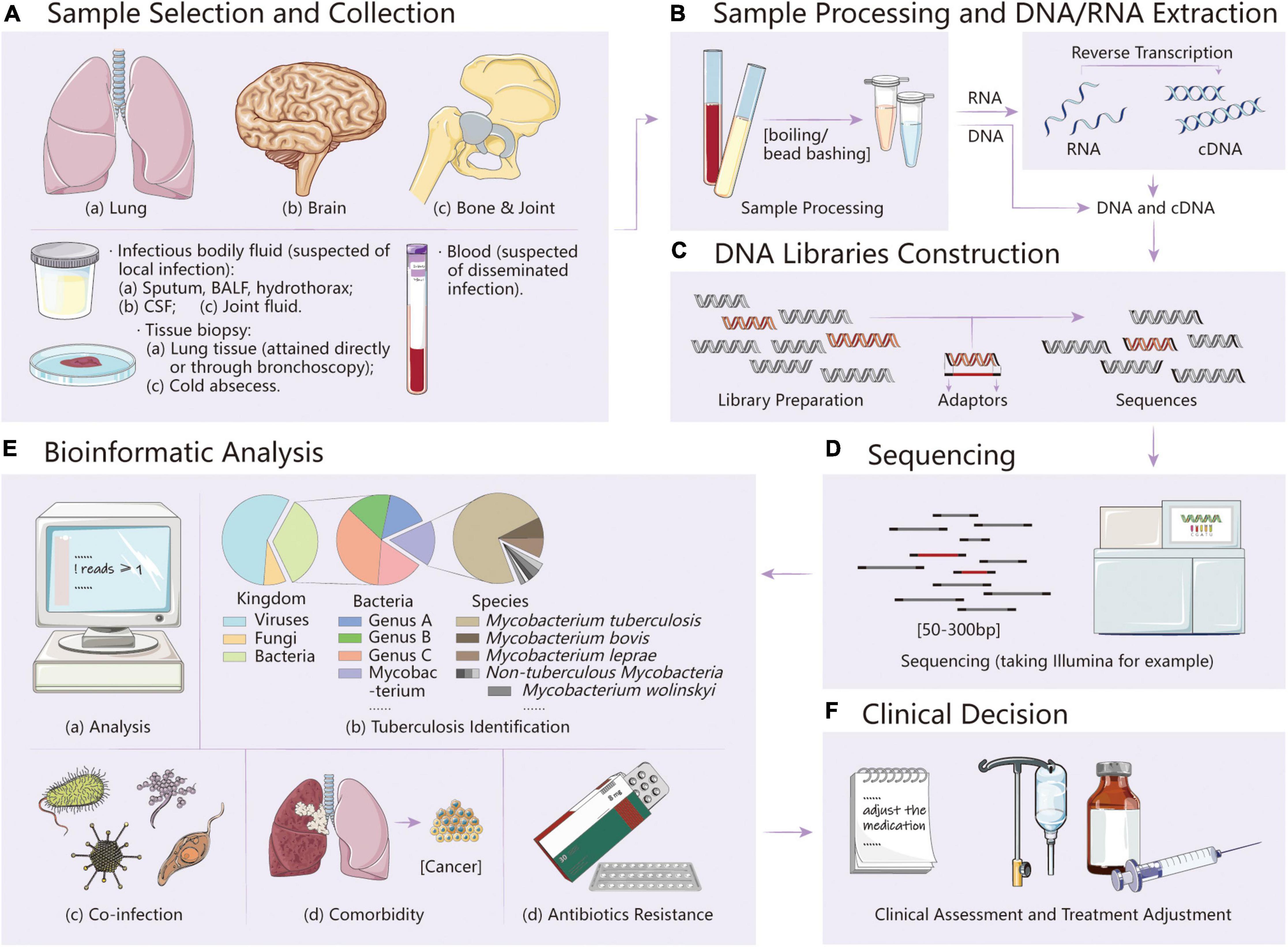 Next Generation Sequencing Workflow Next Generation Sequencing Workflow