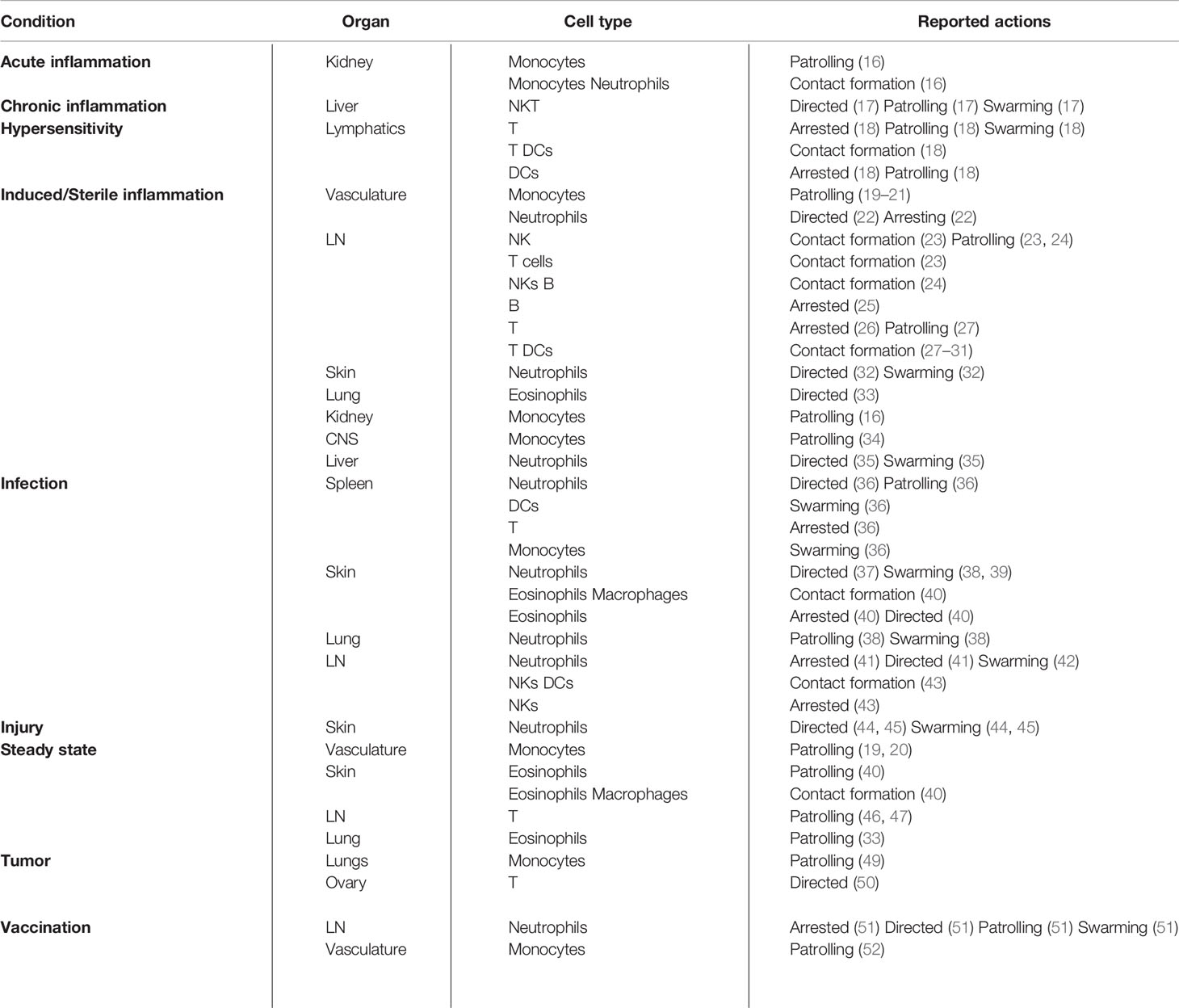 Frontiers In Vivo Motility Patterns Displayed By Immune Cells Under