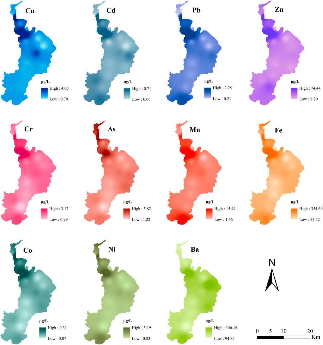 Frontiers Heavy Metal Distribution And Bioaccumulation Combined With Ecological And Human 