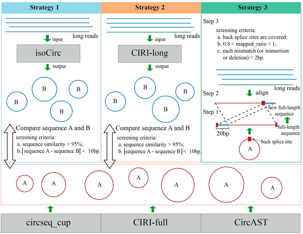 Evaluation Of Circrna Sequence Assembly Methods Using Long Reads Rna