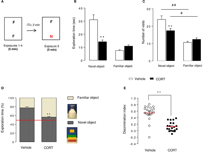 Frontiers Learning And Memory Impairments In A Neuroendocrine Mouse