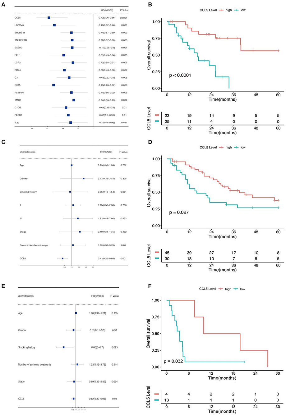 Frontiers Ccl5 As A Prognostic Marker For Survival And An Indicator