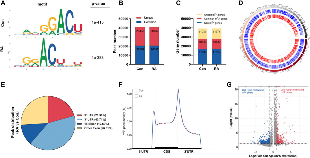 Frontiers Potential Target Analysis Of Triptolide Based On