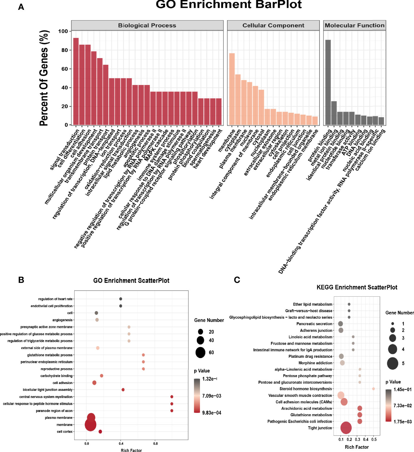 Frontiers Comprehensive Analysis Of The Transcriptome Wide M6a