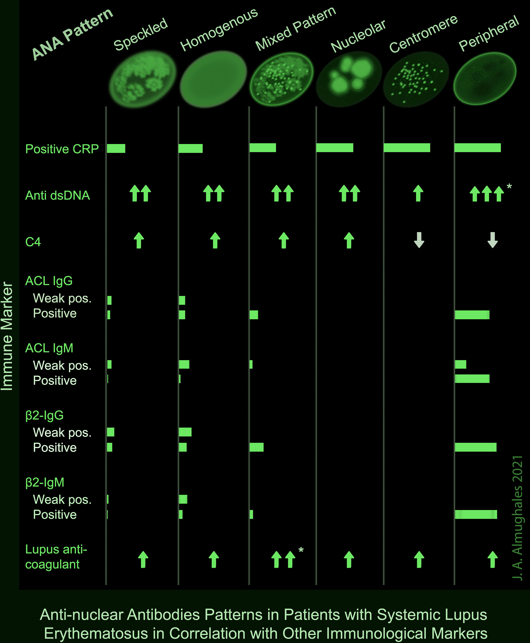 Anti Nuclear Antibody Positive Result
