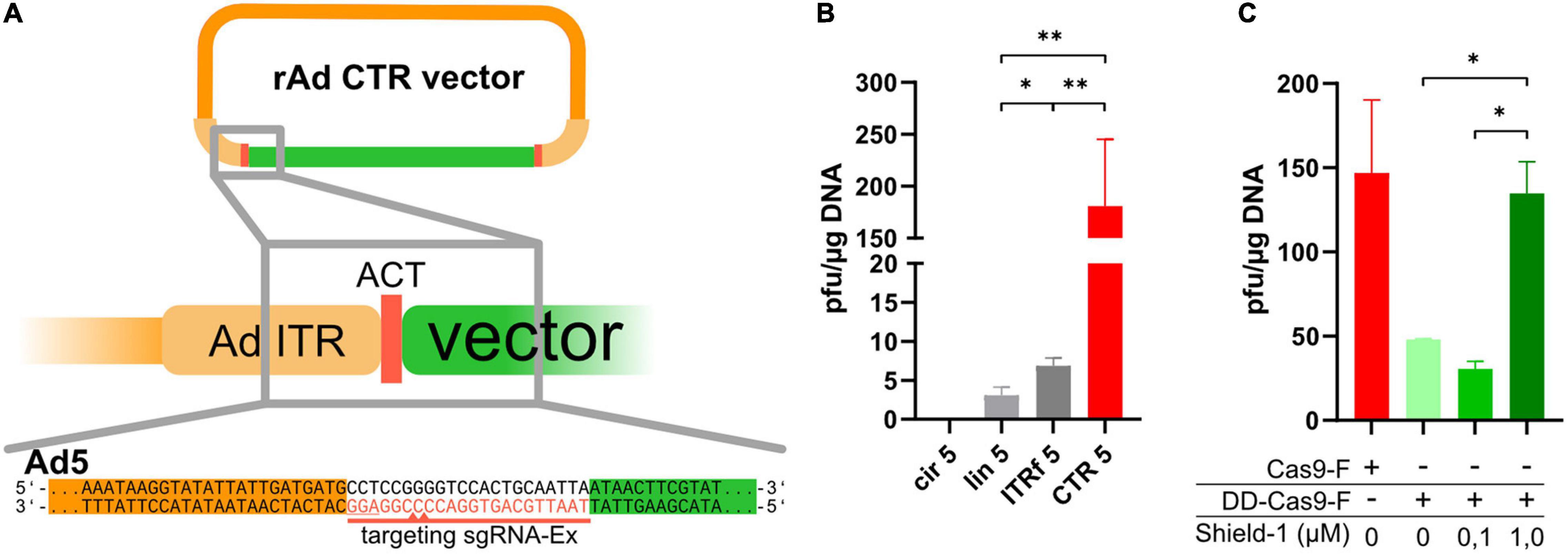 Frontiers Rescue Of Recombinant Adenoviruses By Crispr Cas Mediated