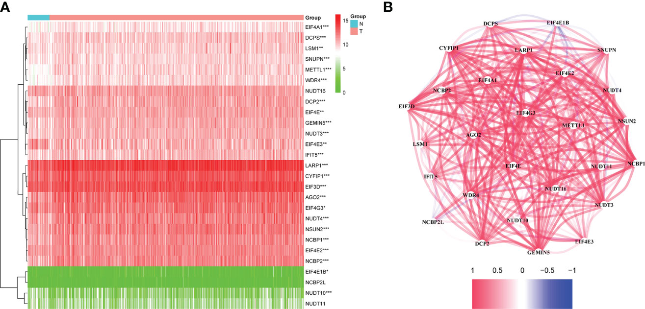 Frontiers Construction And Validation Of A M7g Related Gene Based