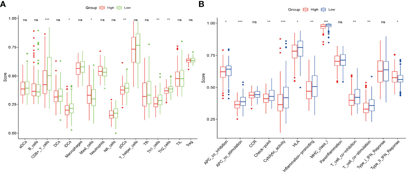 Frontiers Construction And Validation Of A M7g Related Gene Based