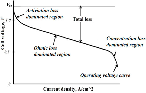 Frontiers | Improving Parameter Estimation of Fuel Cell Using Honey Badger Optimization Algorithm