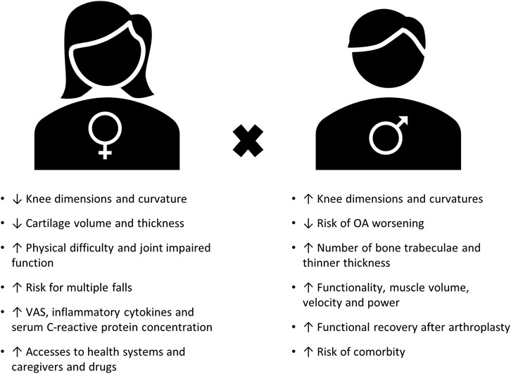 Frontiers Innate Immunity At The Core Of Sex Differences In
