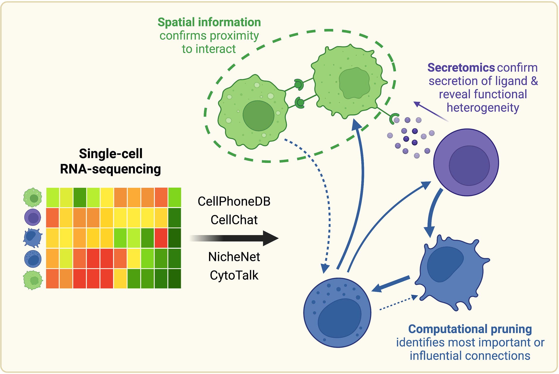 Frontiers Mapping And Validation Of ScRNA Seq Derived Cell Cell 
