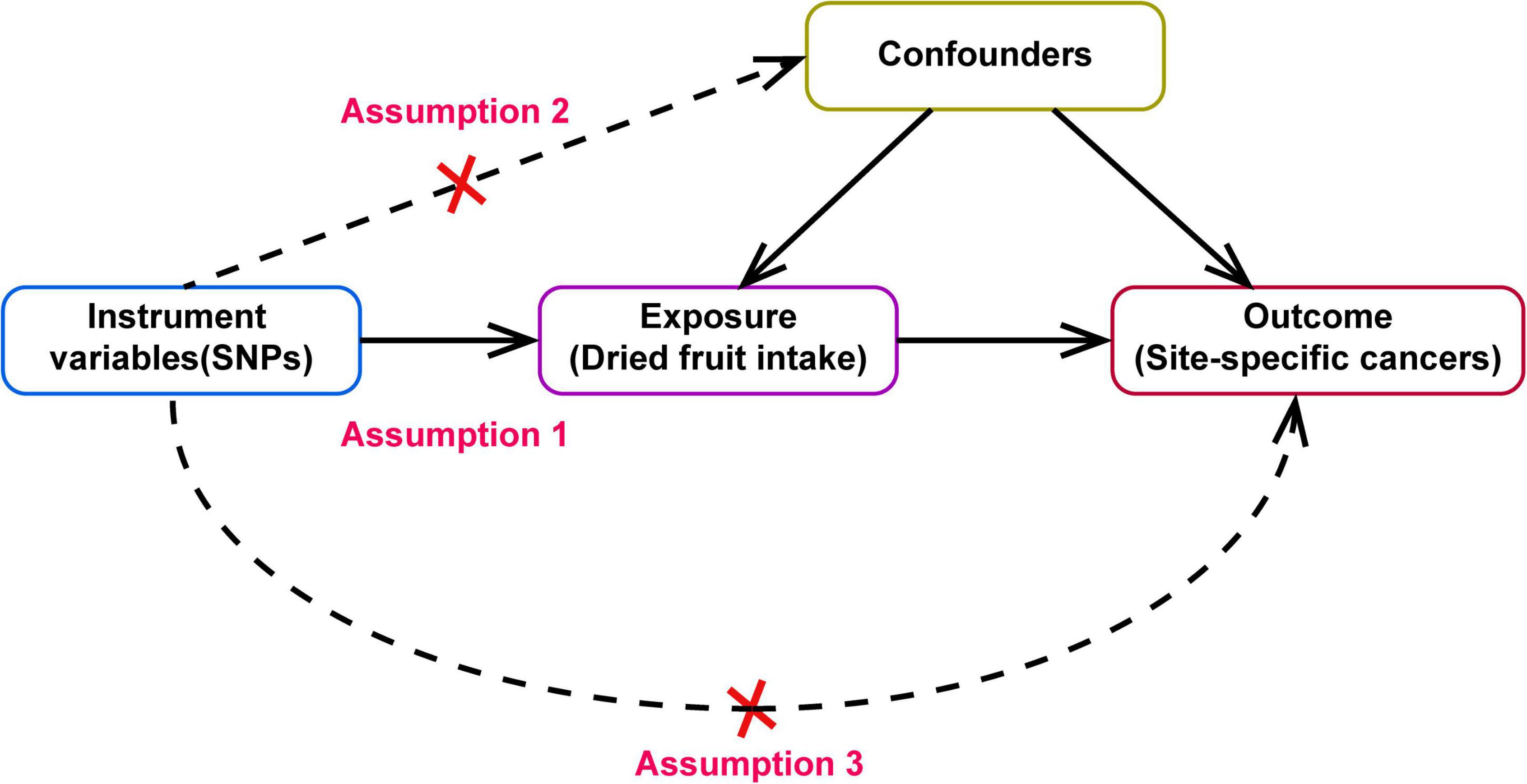 Frontiers Association Between Dried Fruit Intake And Pan Cancers
