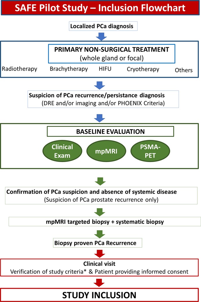 Frontiers The Safe Pilot Trial—salvage Focal Irreversible