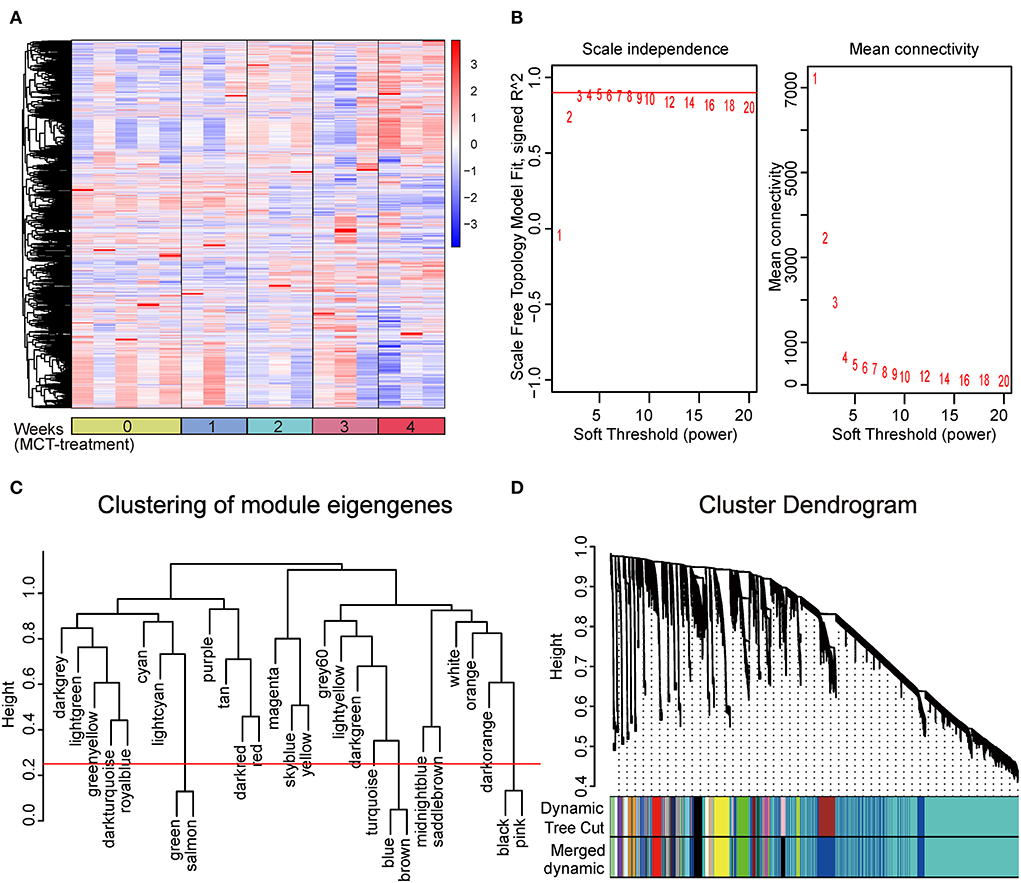 Frontiers Weighted Gene Co Expression Network Analysis Identifies