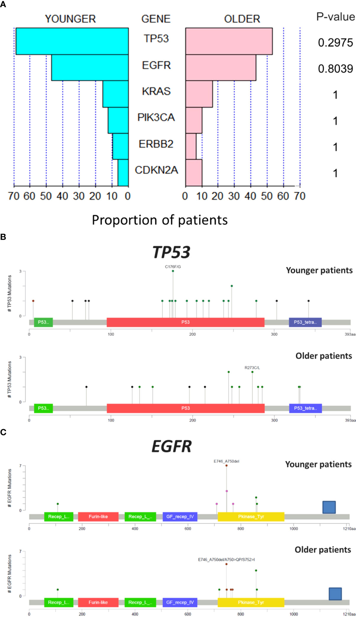 Frontiers Genomic Landscape Of The Lung Cancer In The Young
