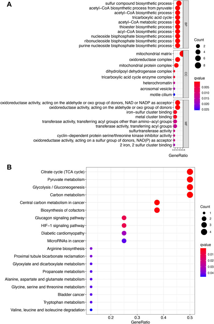 Frontiers Identification And Validation Of Cuproptosis Related