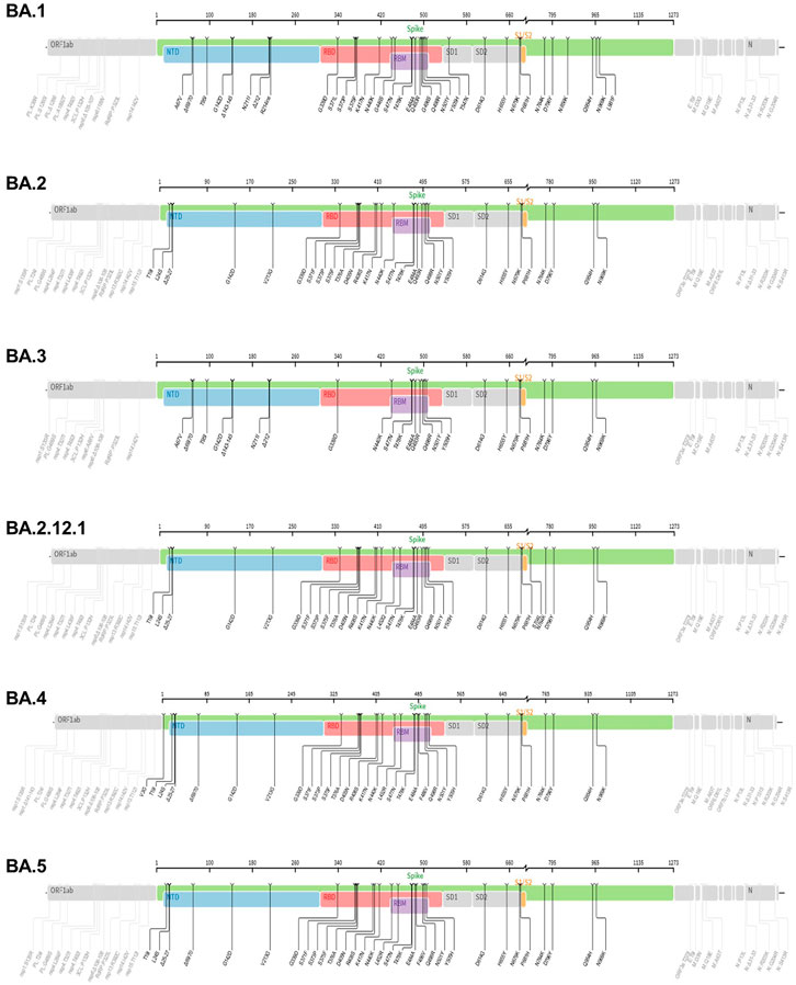 Frontiers | Insight into genomic organization of pathogenic coronaviruses, SARS-CoV-2 ...
