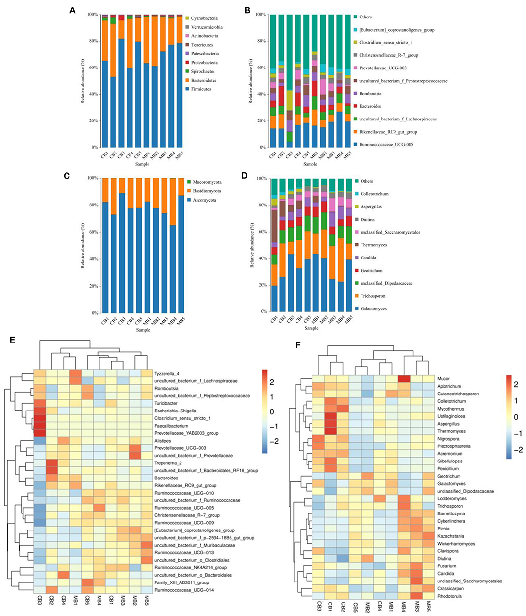 Frontiers Metagenomic Analysis Reveals Bacterial And Fungal Diversity Frontiers Metagenomic Analysis Reveals Bacterial And Fungal Diversity