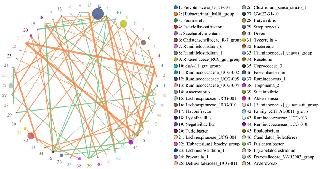 Frontiers Metagenomic Analysis Reveals Bacterial And Fungal Diversity Frontiers Metagenomic Analysis Reveals Bacterial And Fungal Diversity
