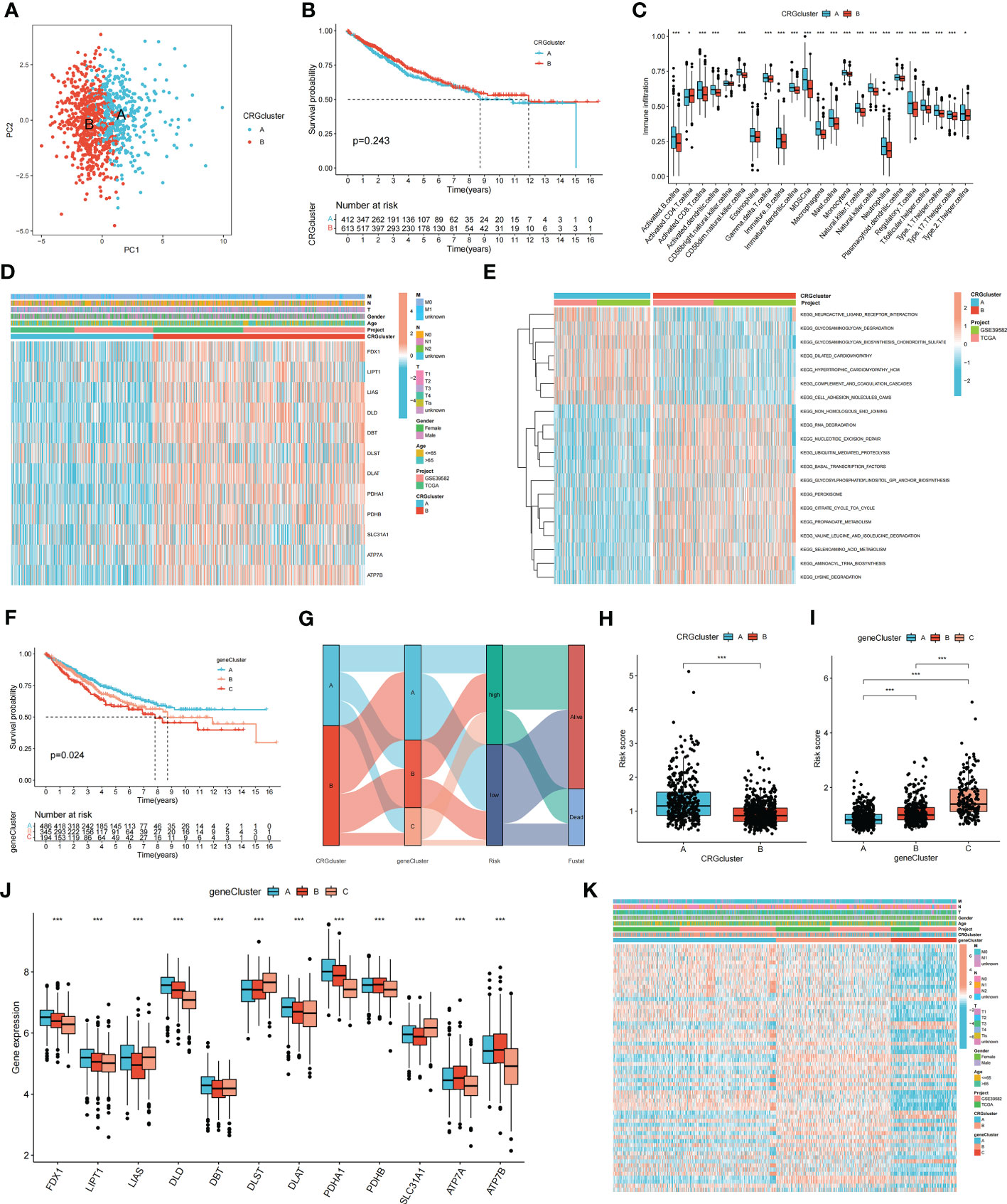 Frontiers Identification Of Cuproptosis Based Molecular Subtypes