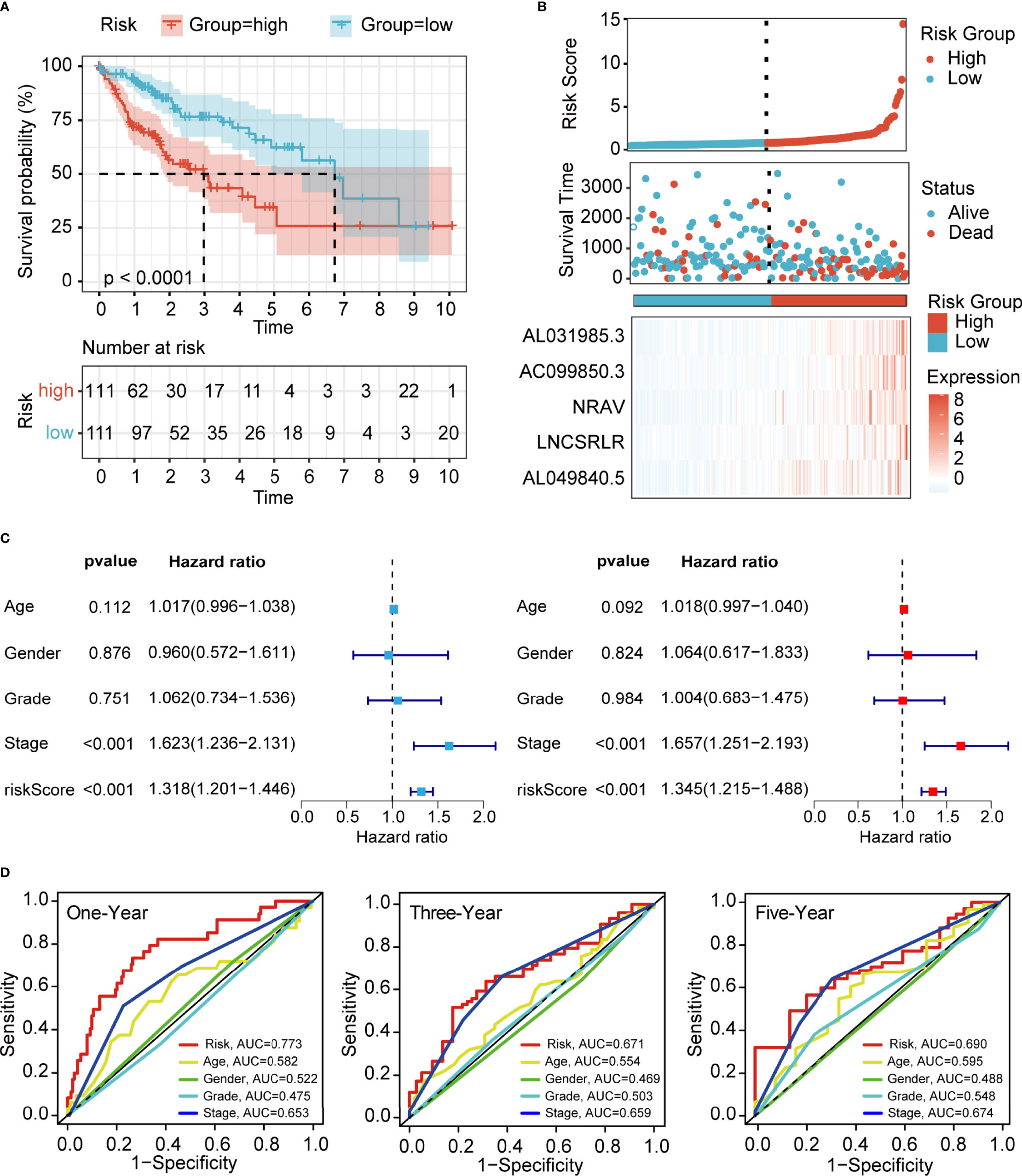 Frontiers A Novel Ferroptosis Related Long Non Coding Rna Prognostic