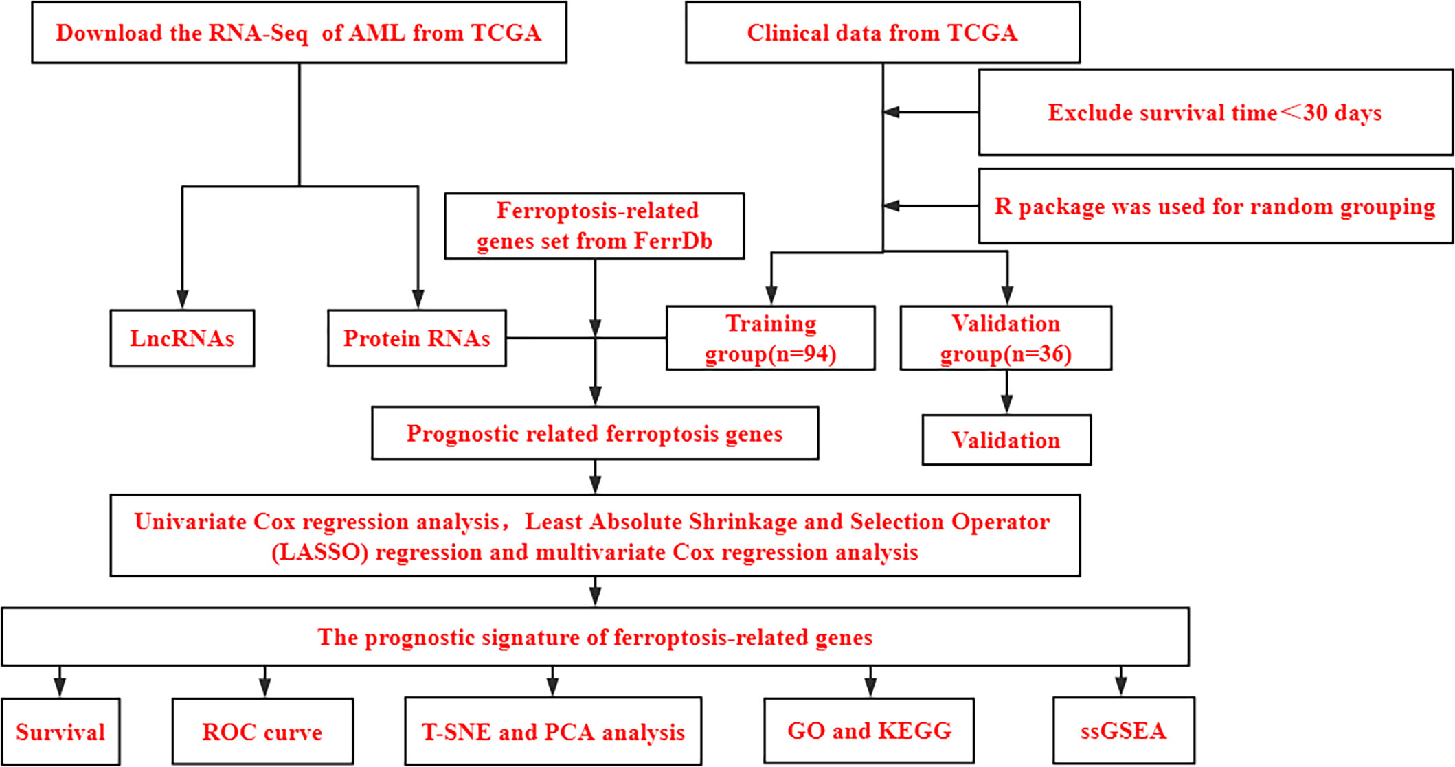 Frontiers Comprehensive Analysis Of Ferroptosis Related Gene