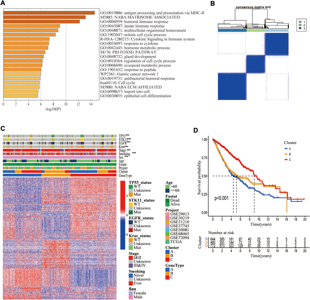Frontiers Identification Of Cuproptosis Related Subtypes In Lung