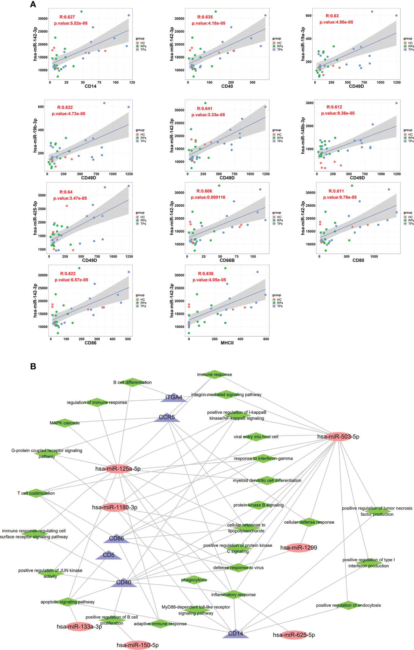 Frontiers The Potential Role Of Exosomal Mirnas And Membrane Proteins