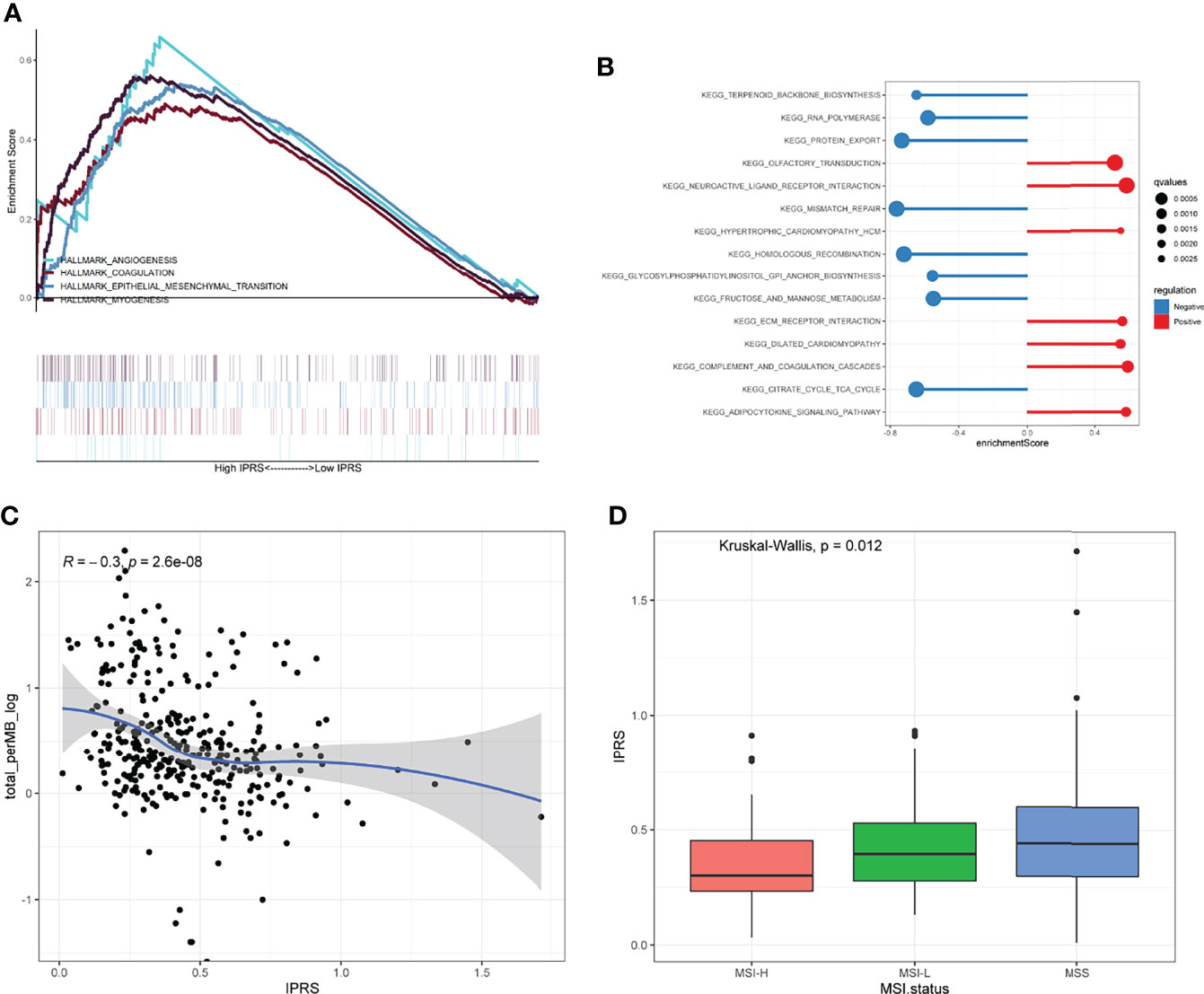 Frontiers Characterization Of Immune Related Molecular Subtypes And A