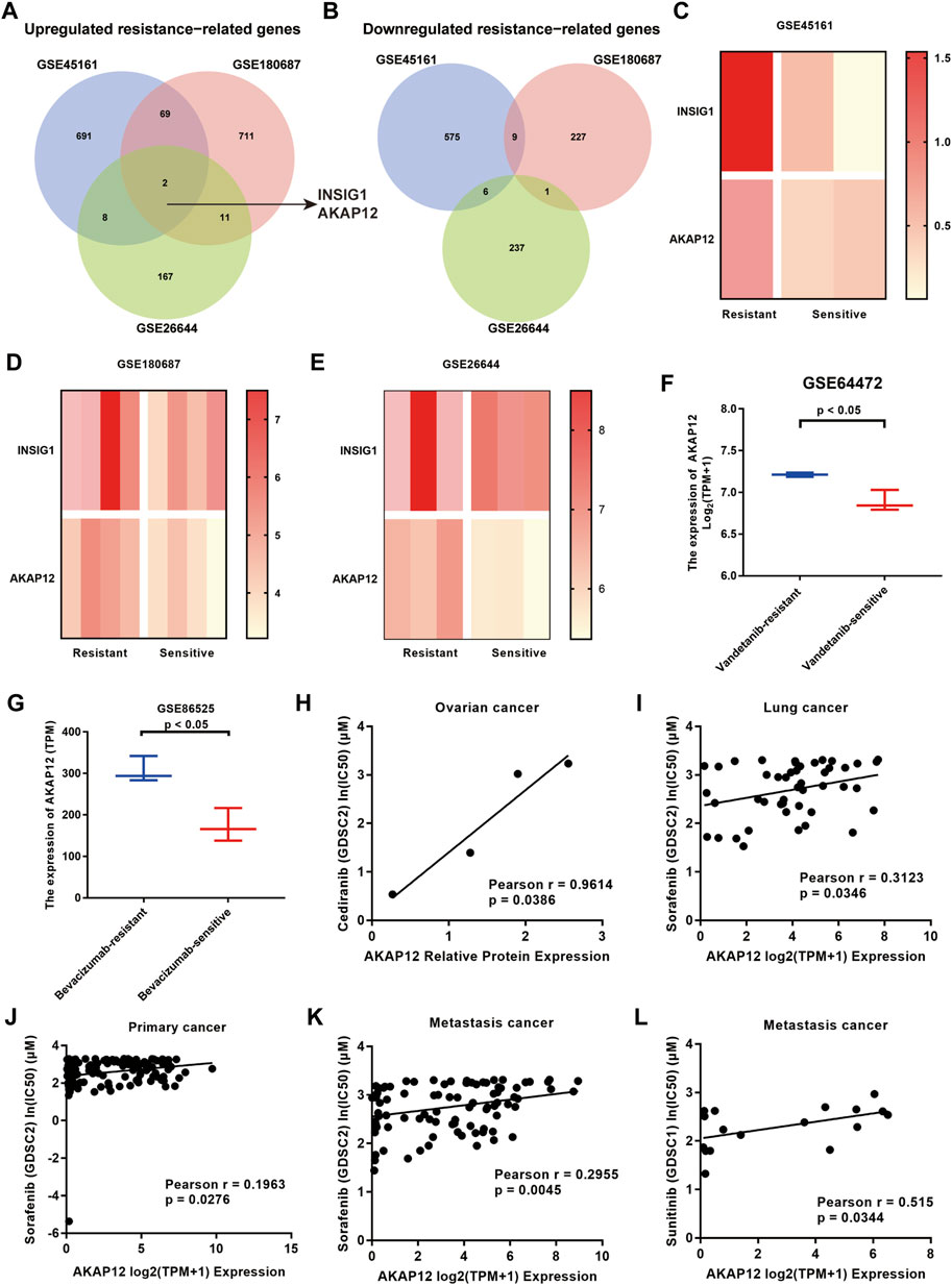 Frontiers Pan Cancer Analysis Of The Prognosis And Immunological Role