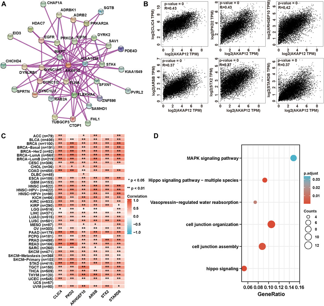 Frontiers Pan Cancer Analysis Of The Prognosis And Immunological Role