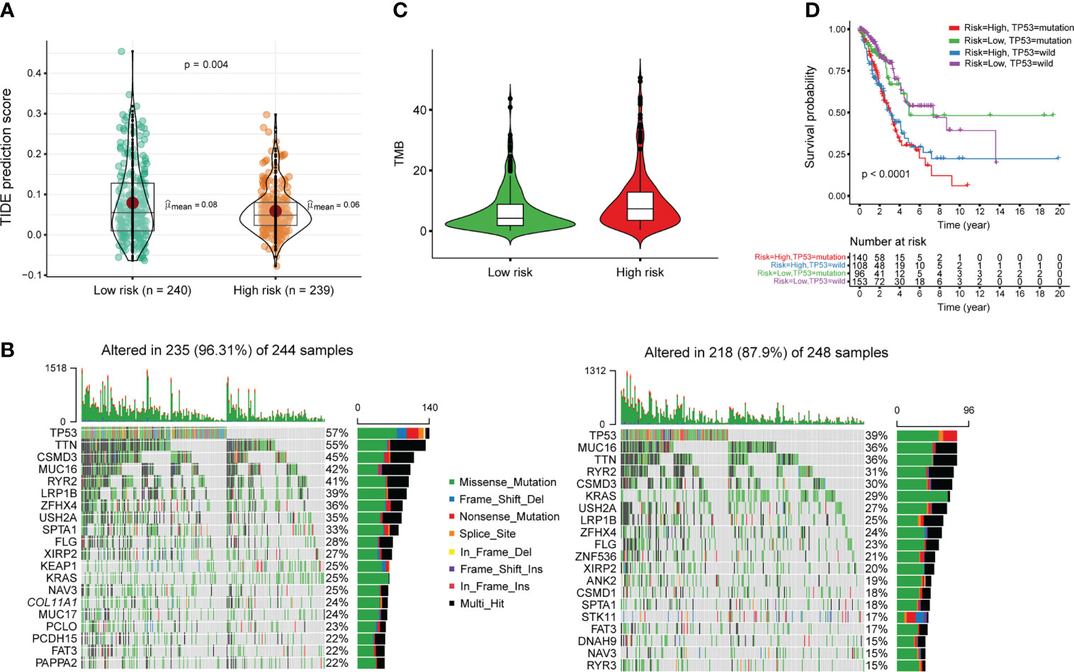 Frontiers | Development and validation of a m6A -regulated prognostic signature in lung ...
