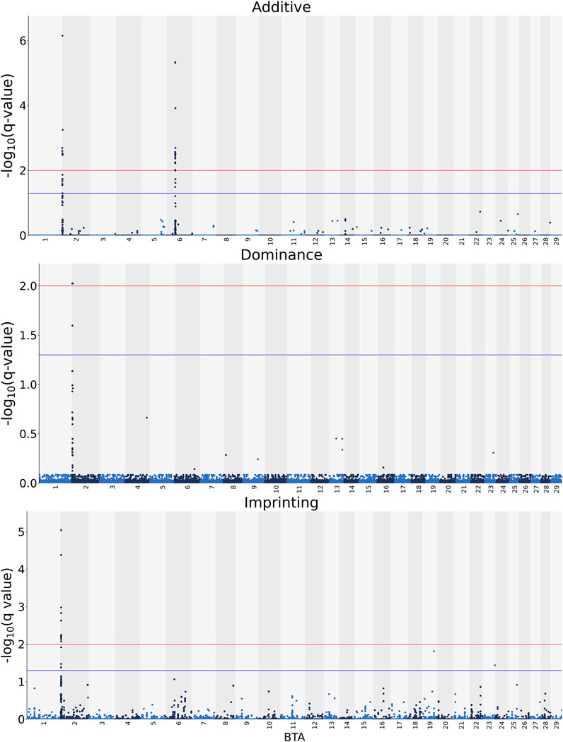 Frontiers Detection Of Genomic Imprinting For Carcass Traits In