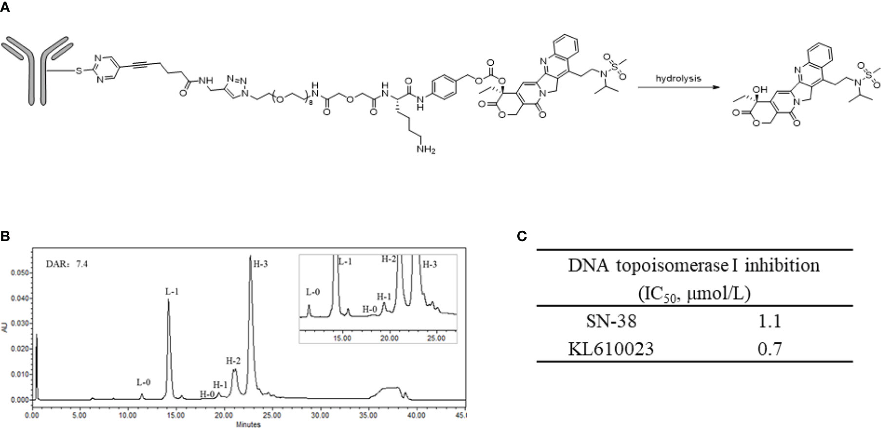 Frontiers | Preclinical profiles of SKB264, a novel anti-TROP2 antibody conjugated to ...