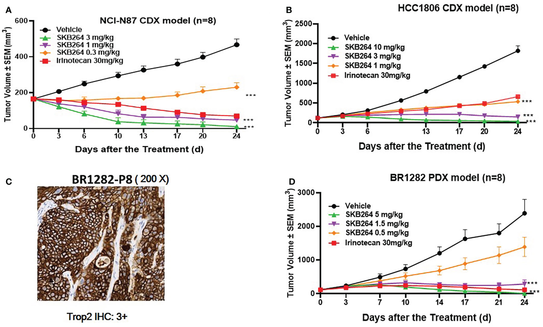 Frontiers | Preclinical profiles of SKB264, a novel anti-TROP2 antibody conjugated to ...