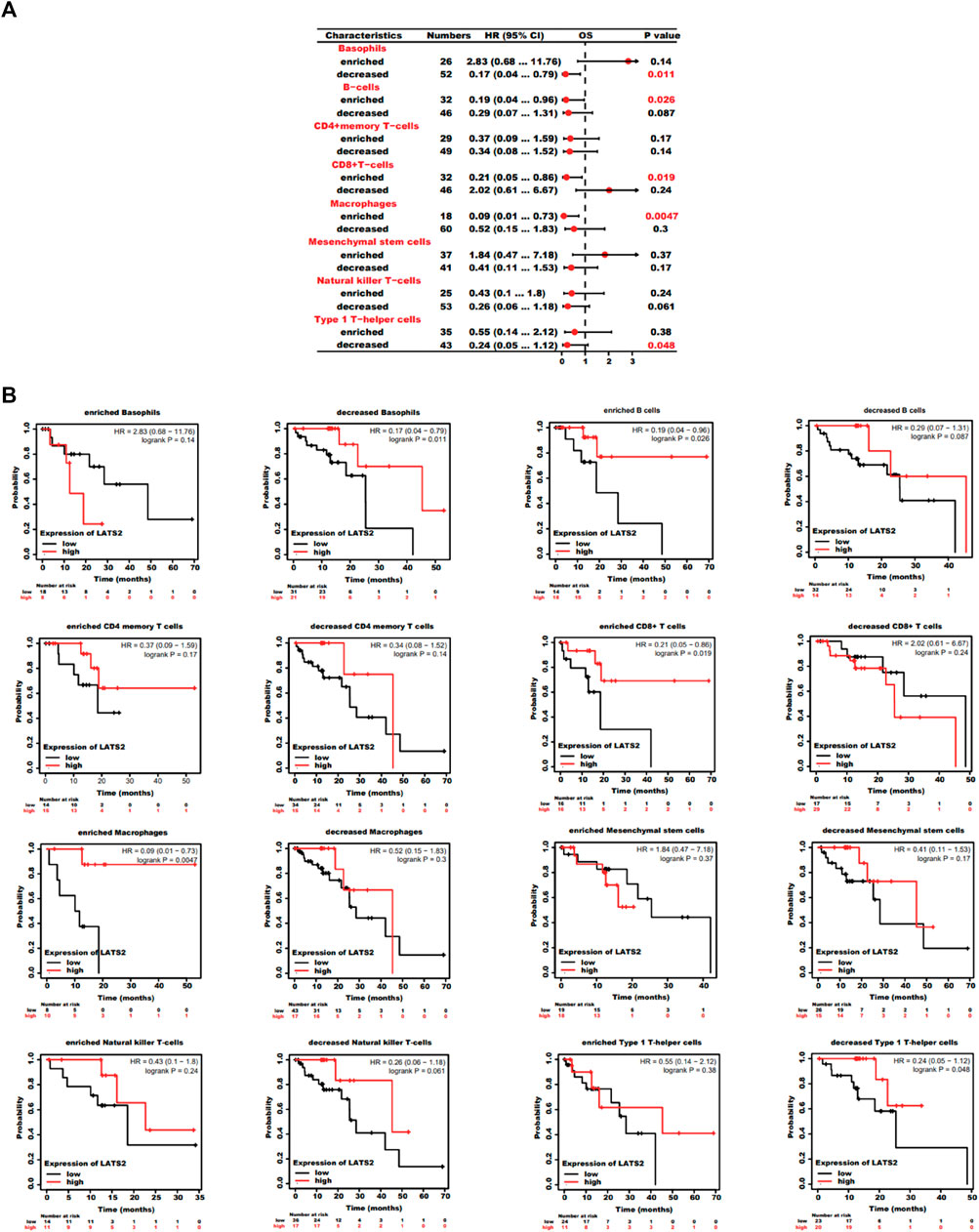 Frontiers Identifying Lats2 As A Prognostic Biomarker Relevant To