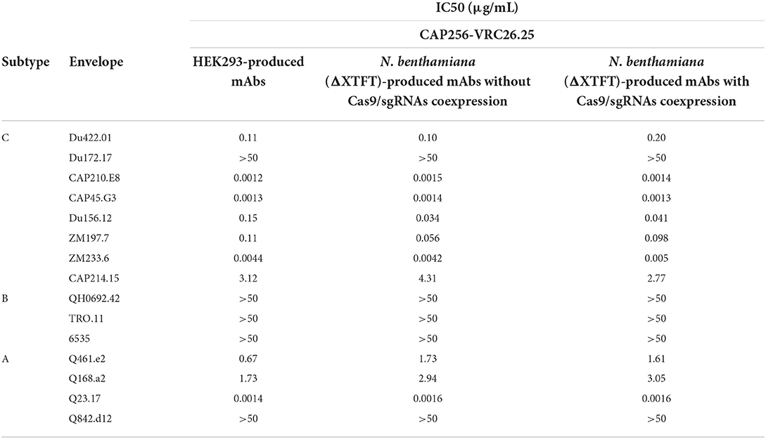 Frontiers Transient Proteolysis Reduction Of Nicotiana Benthamiana