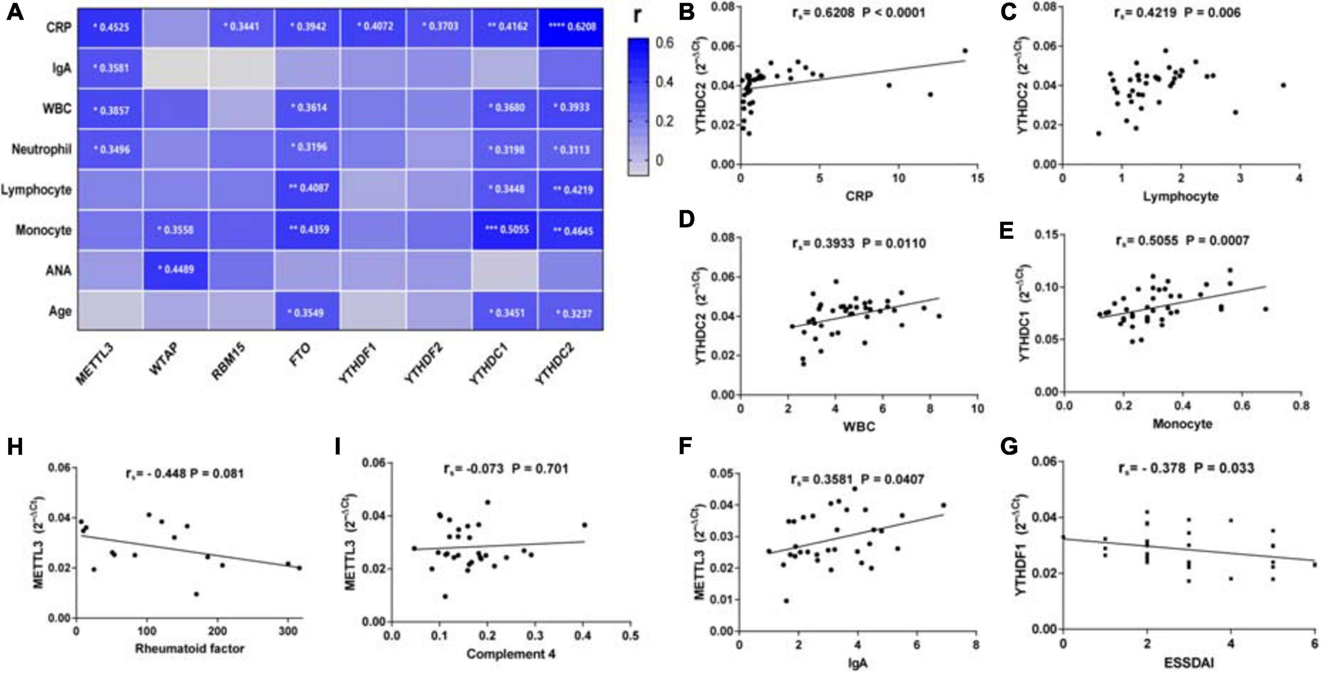Frontiers The Potential Role Of Rna N6 Methyladenosine In Primary