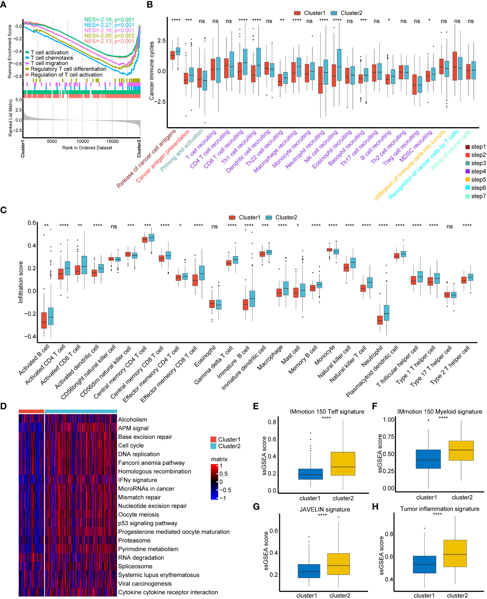 Frontiers Cuproptosis Depicts Tumor Microenvironment Phenotypes And