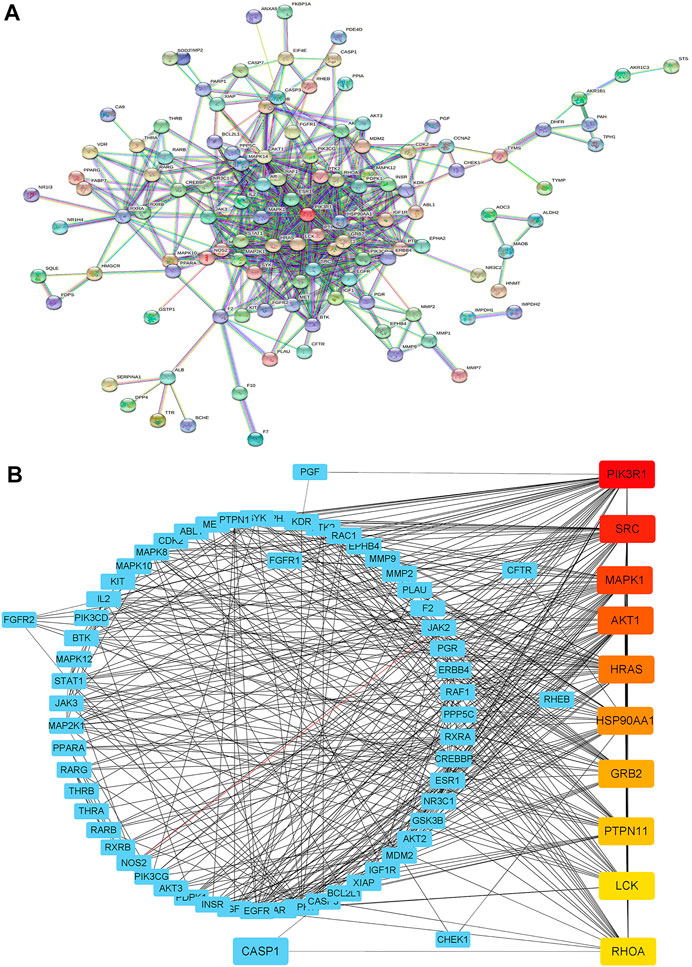 Anticancer effects of OSW-1 on glioma cells via regulation of the PI3K ... Anticancer effects of OSW-1 on glioma cells via regulation of the PI3K ...
