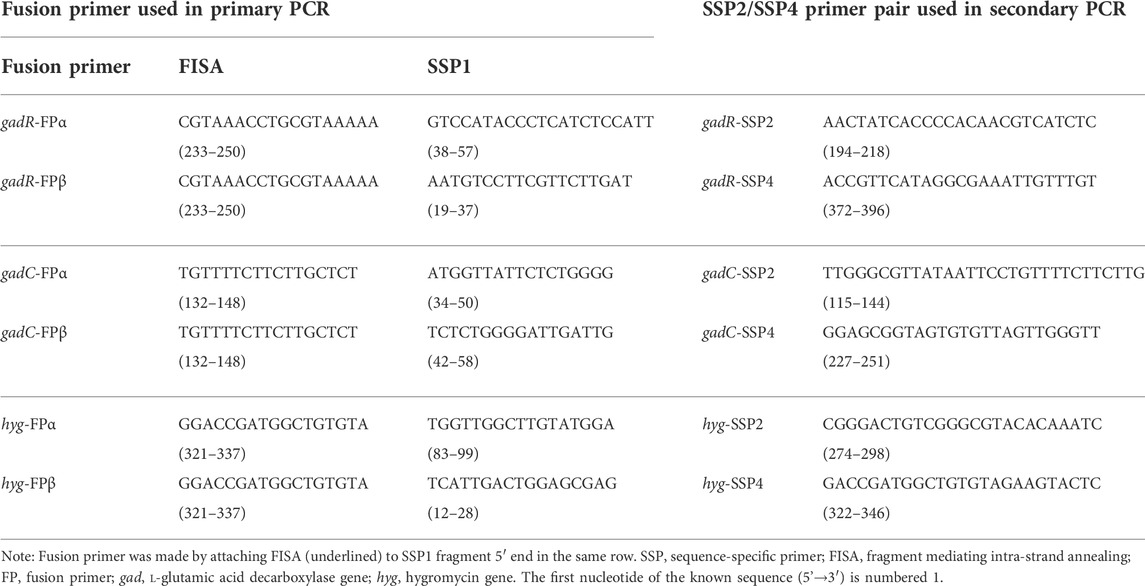 Primers Pcr Primers Pcr