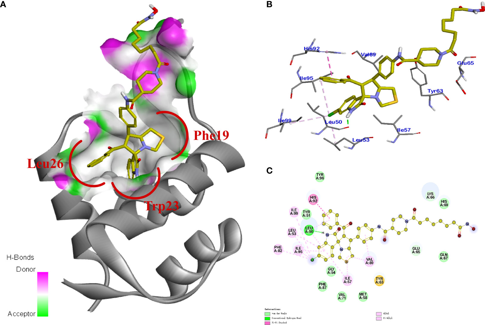 Frontiers | Discovery of spirooxindole-derived small-molecule compounds as novel HDAC/MDM2 dual ...