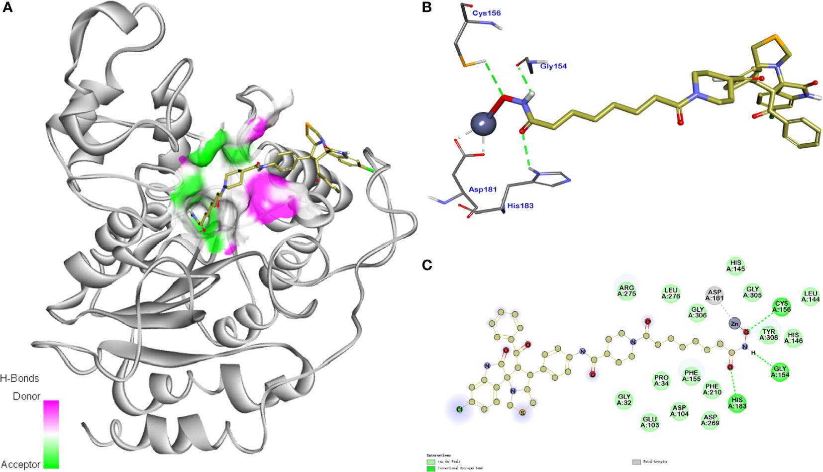 Frontiers | Discovery of spirooxindole-derived small-molecule compounds as novel HDAC/MDM2 dual ...