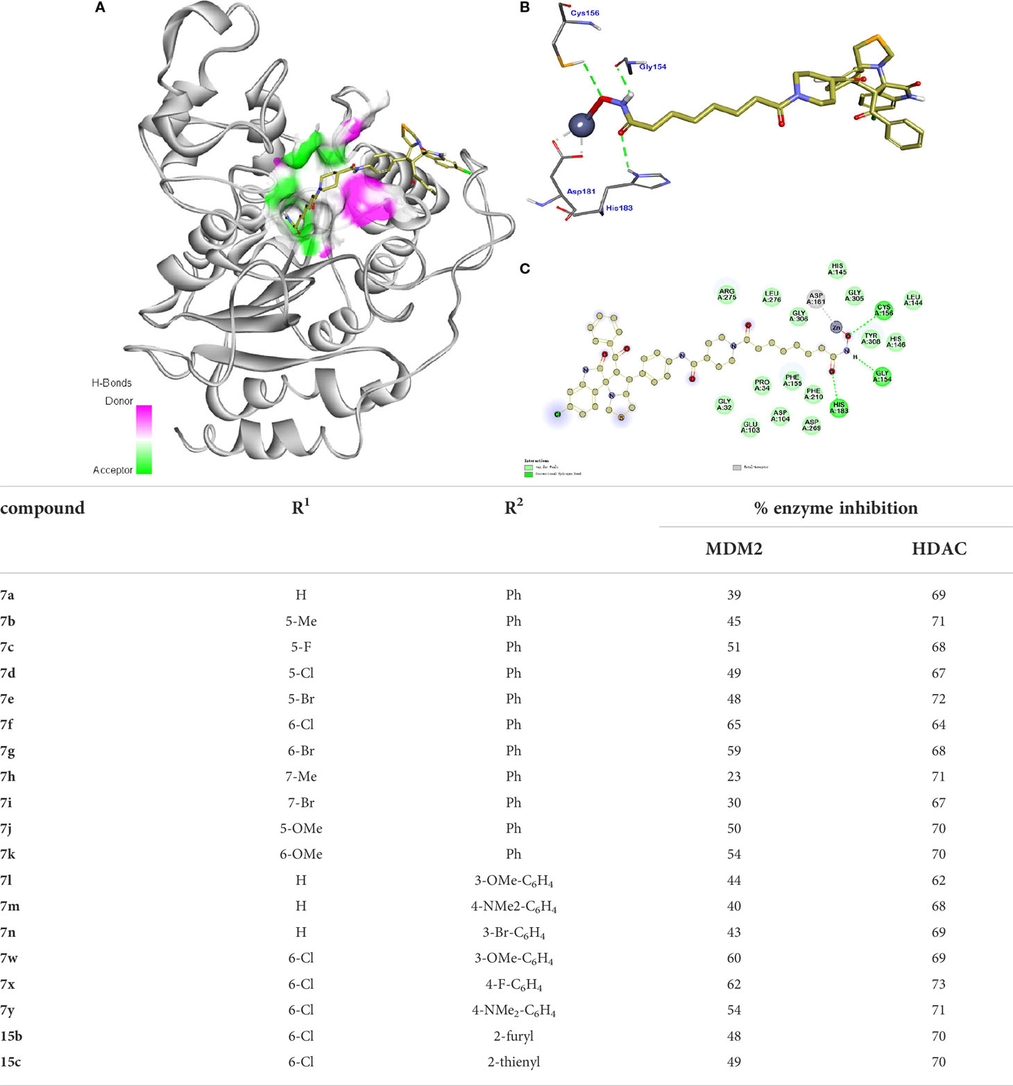 Frontiers | Discovery of spirooxindole-derived small-molecule compounds as novel HDAC/MDM2 dual ...
