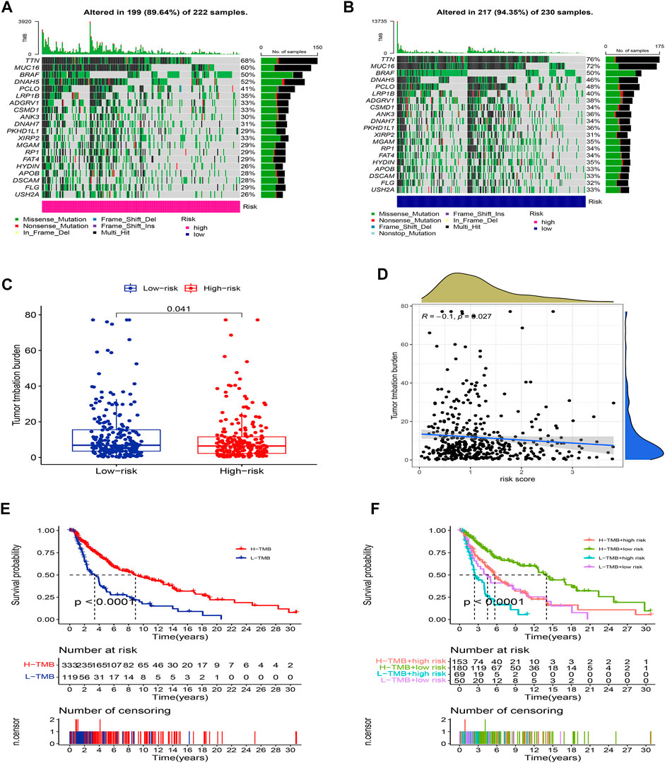 Frontiers Construction Of Five Cuproptosis Related Lncrna Signature